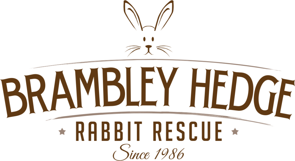 Brambley Hedge Rabbit Rescue, Inc.